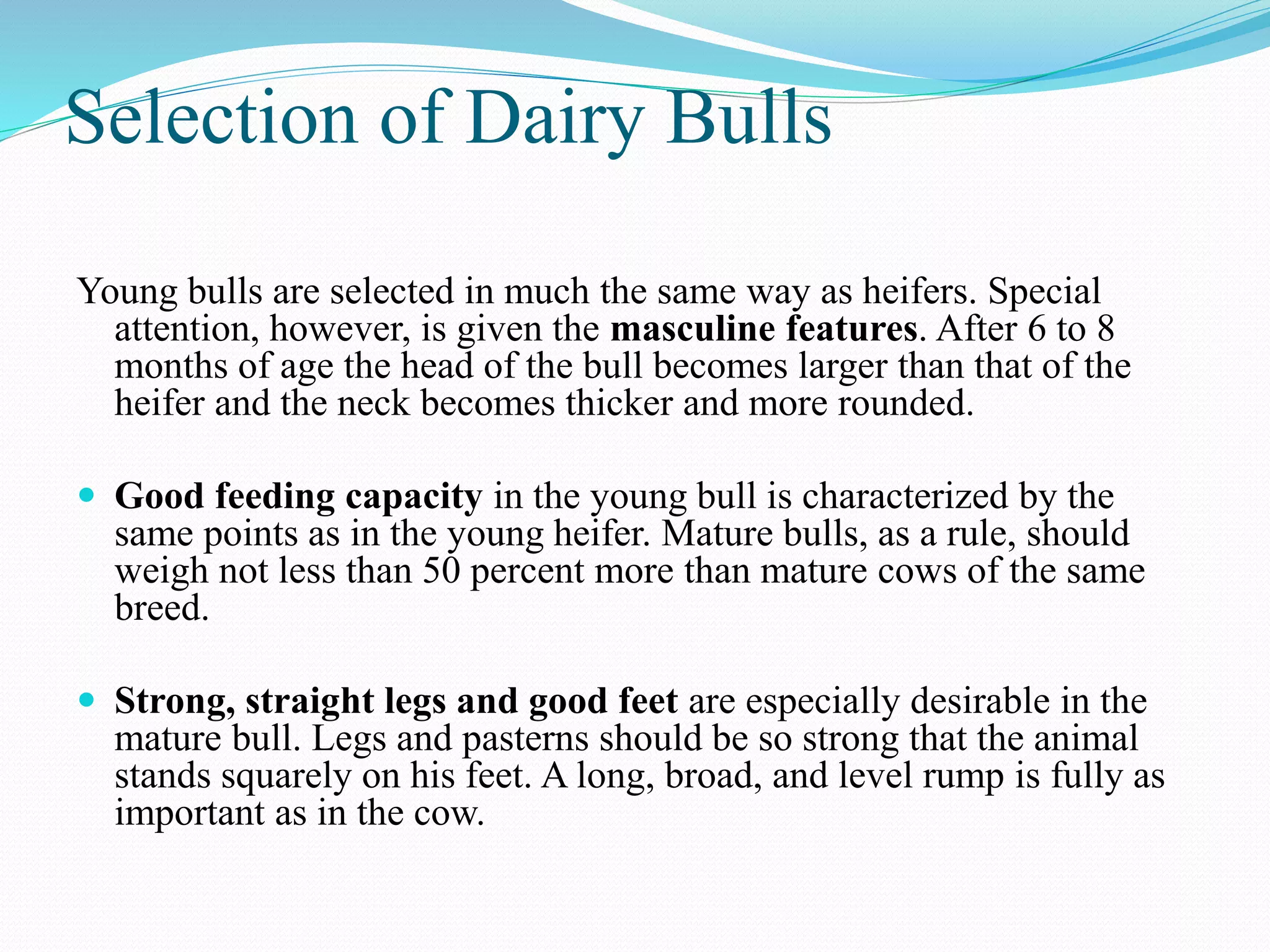 Phenotypic Selection of Dairy Cattle | PPTX