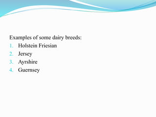 Phenotypic Selection of Dairy Cattle | PPTX