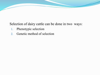 Phenotypic Selection of Dairy Cattle | PPTX