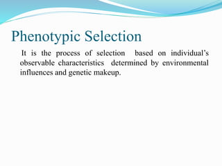Phenotypic Selection of Dairy Cattle | PPTX