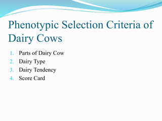 Phenotypic Selection of Dairy Cattle | PPTX