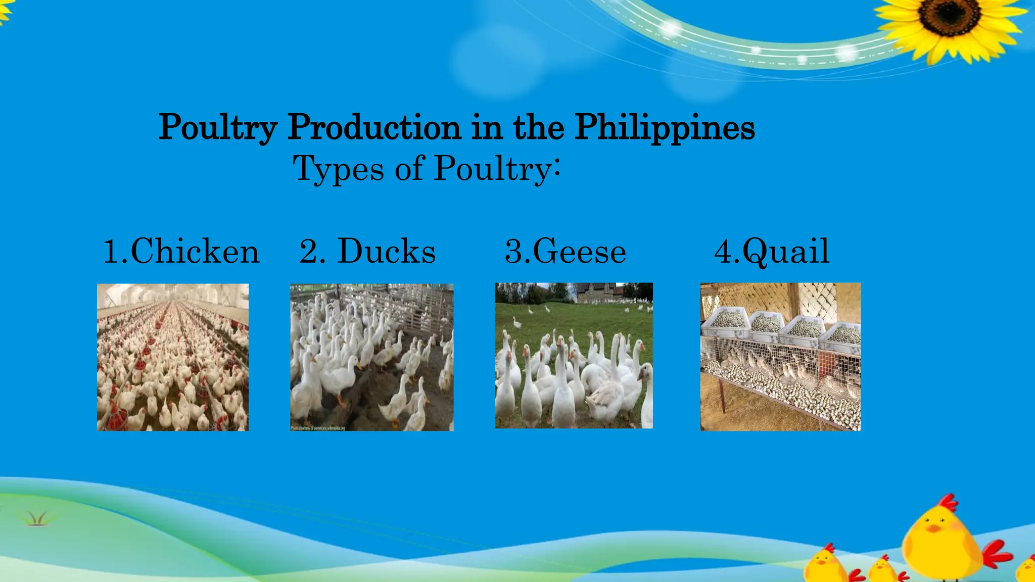 510404552-Animal-Production-and-Methods-of-Animal-Raising-EPP-Arceli-M ...