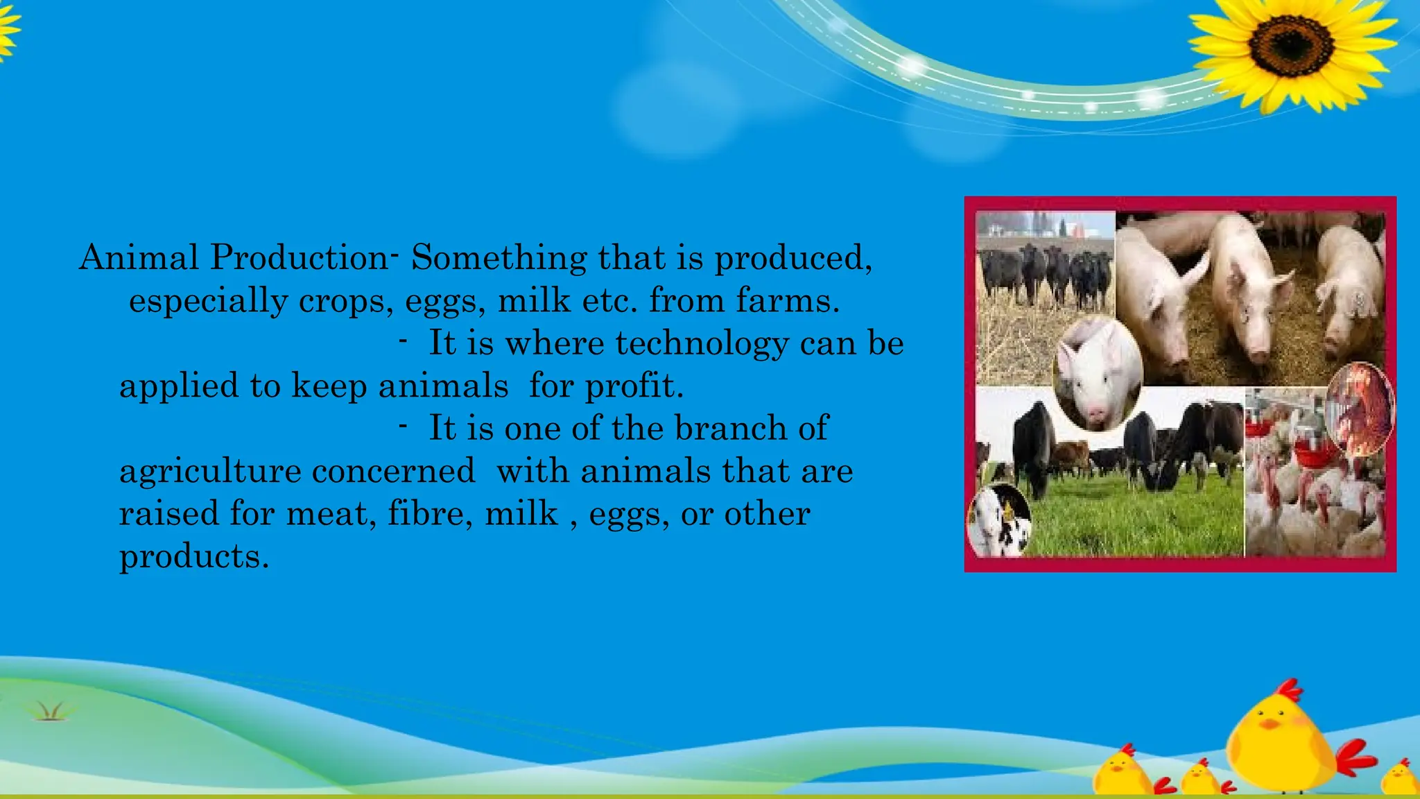 510404552-Animal-Production-and-Methods-of-Animal-Raising-EPP-Arceli-M ...