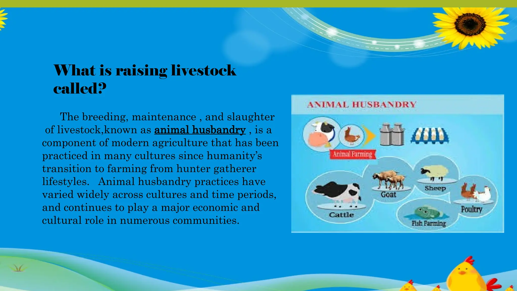 510404552-Animal-Production-and-Methods-of-Animal-Raising-EPP-Arceli-M ...