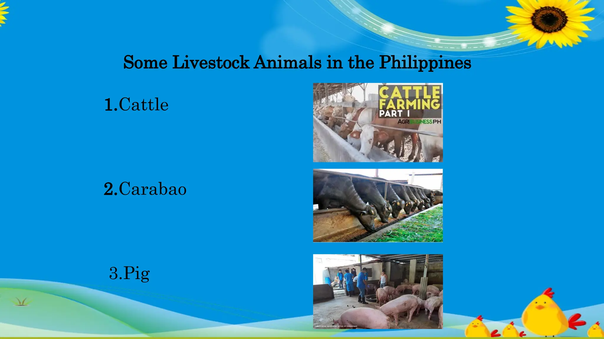 510404552-Animal-Production-and-Methods-of-Animal-Raising-EPP-Arceli-M ...