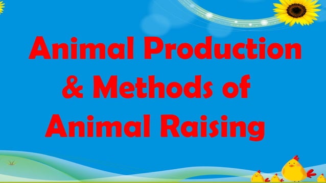510404552-Animal-Production-and-Methods-of-Animal-Raising-EPP-Arceli-M ...