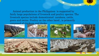 510404552-Animal-Production-and-Methods-of-Animal-Raising-EPP-Arceli-M ...