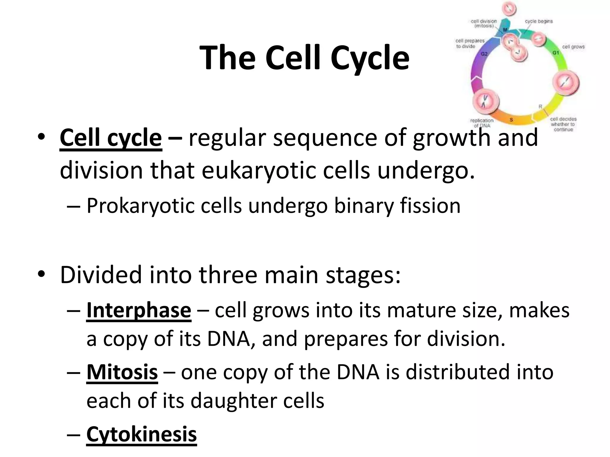 5 10 cell division and cell cycle ppt | PPT