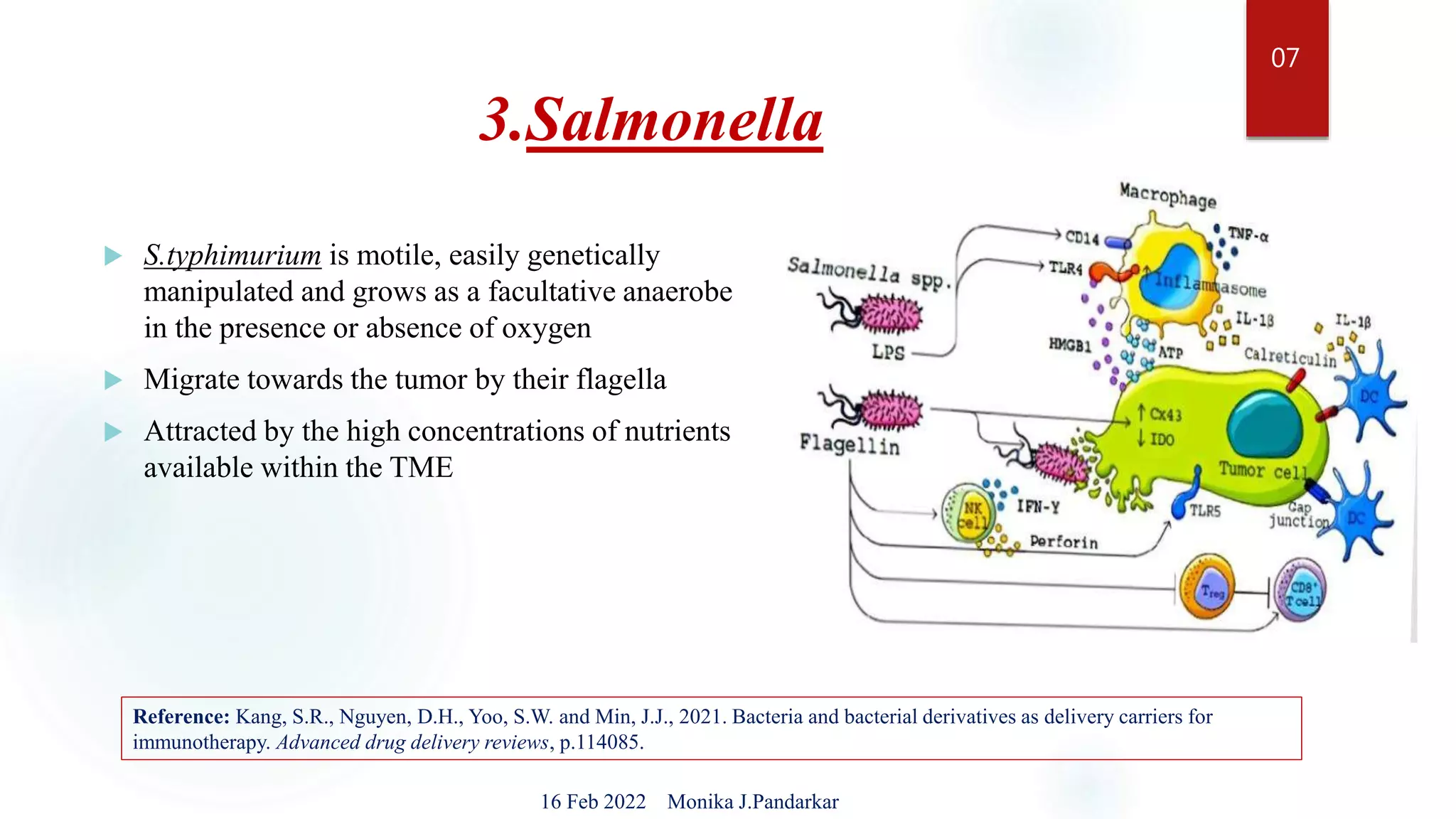 Bacteria and bacterial derivatives as delivery carriers for ...