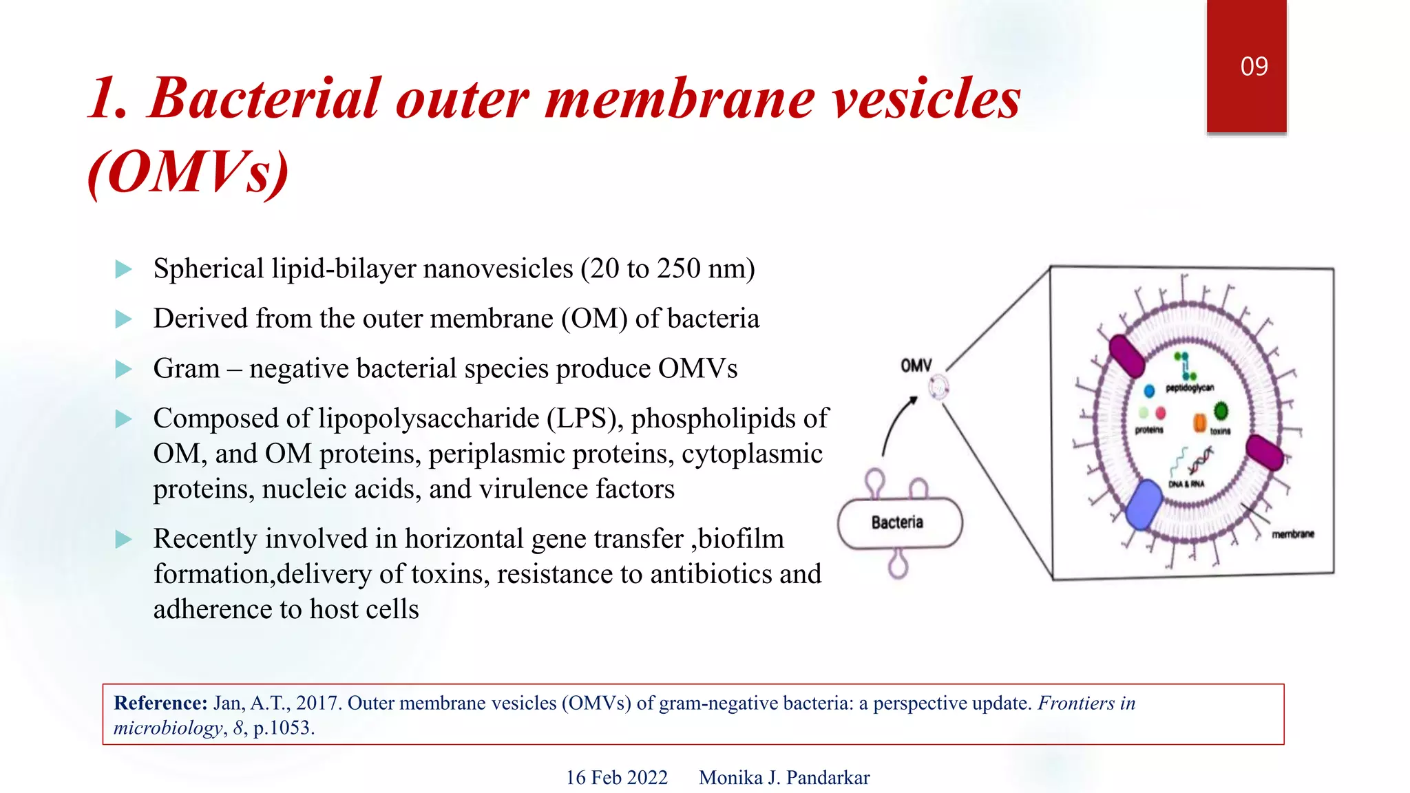 Bacteria and bacterial derivatives as delivery carriers for ...