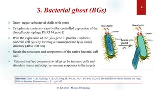 Bacteria and bacterial derivatives as delivery carriers for ...