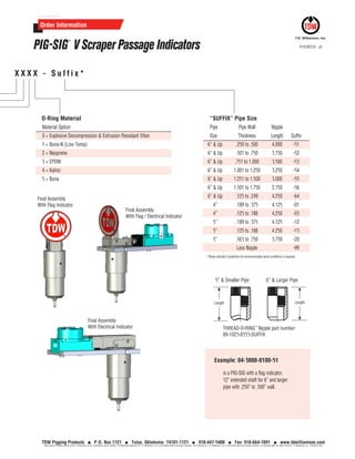 indicadores de paso intrusivos | PDF | Physics | Science