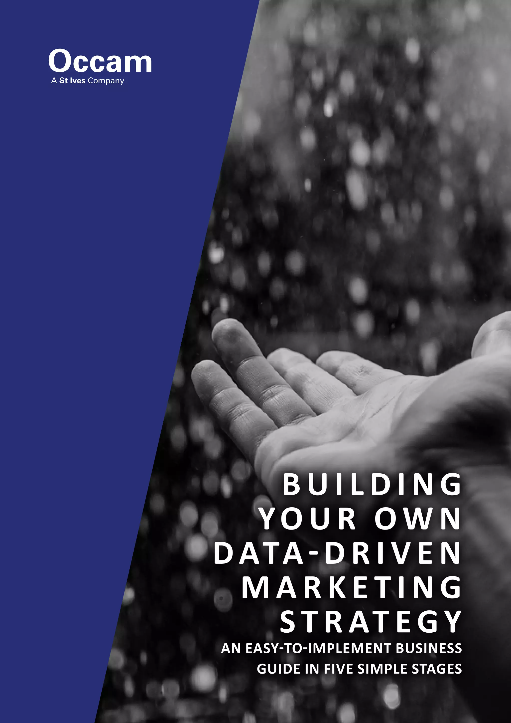 Occam - Building Your Own Data-driven Marketing Strategy | PDF