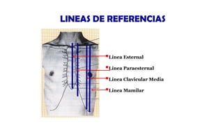 canal-posicion-anatomica-movimientos-corporales | PDF