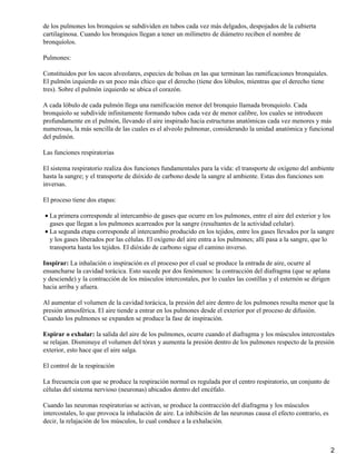 Sistema Respiratorio Humano | PDF