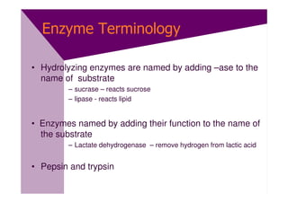 51196538 enzymes chapter 3 | PDF