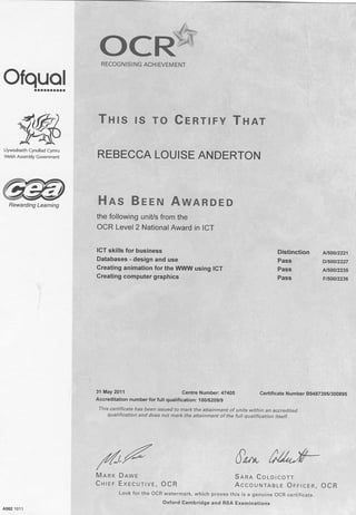 IT OCR Level 2 | PDF