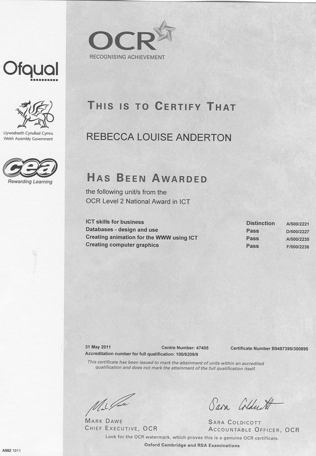 IT OCR Level 2 | PDF