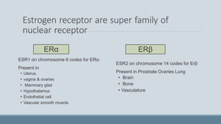 Estrogen Hormone By @Sana_Haroon | PPTX