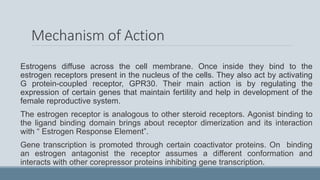 Estrogen Hormone By @Sana_Haroon | PPTX