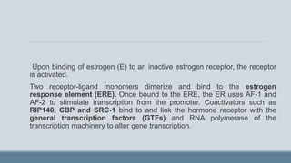 Estrogen Hormone By @Sana_Haroon | PPTX