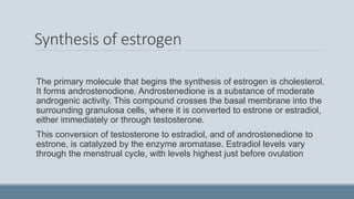 Estrogen Hormone By @Sana_Haroon | PPTX