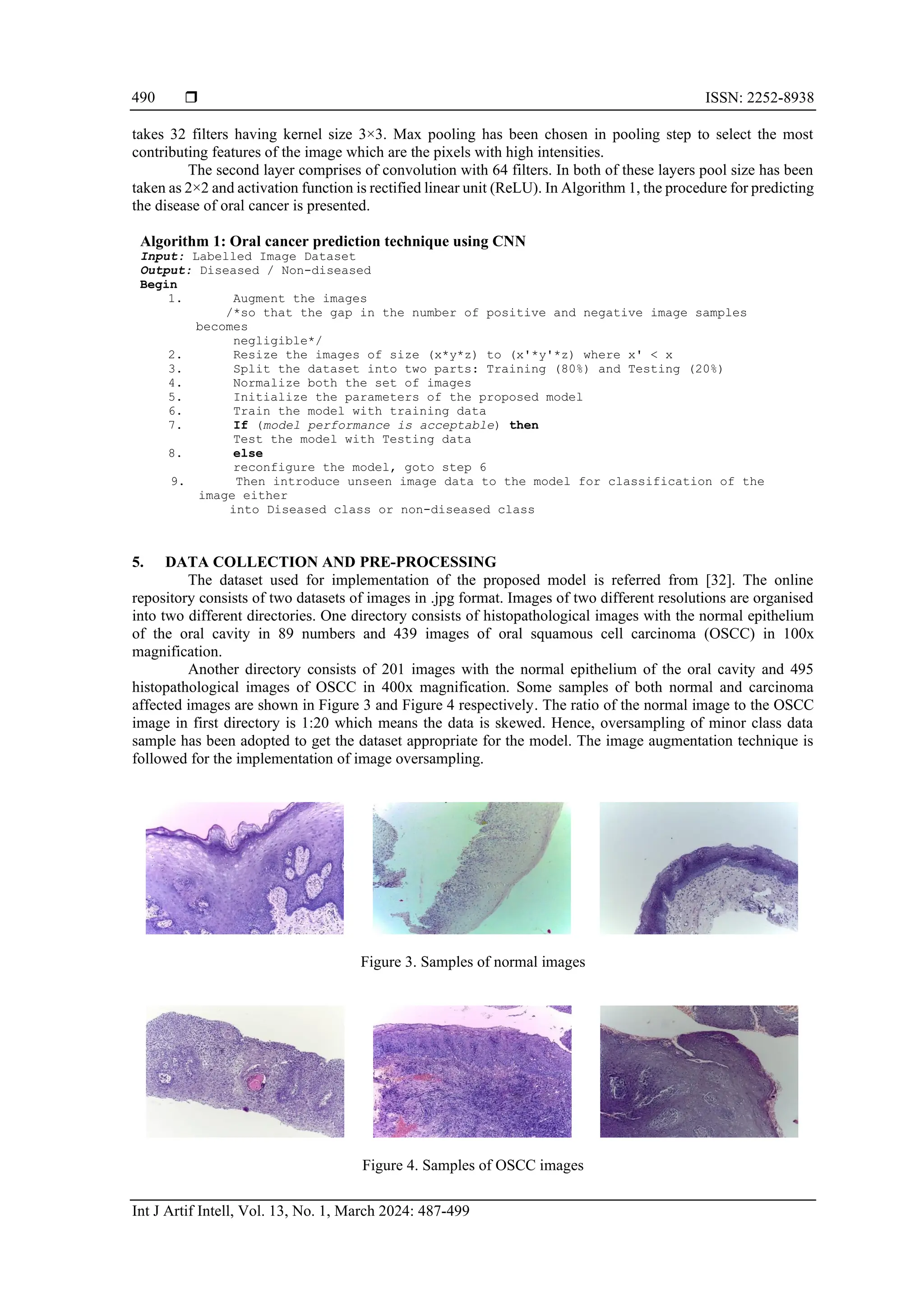 An Efficient Convolutional Neural Network Based Classifier For An
