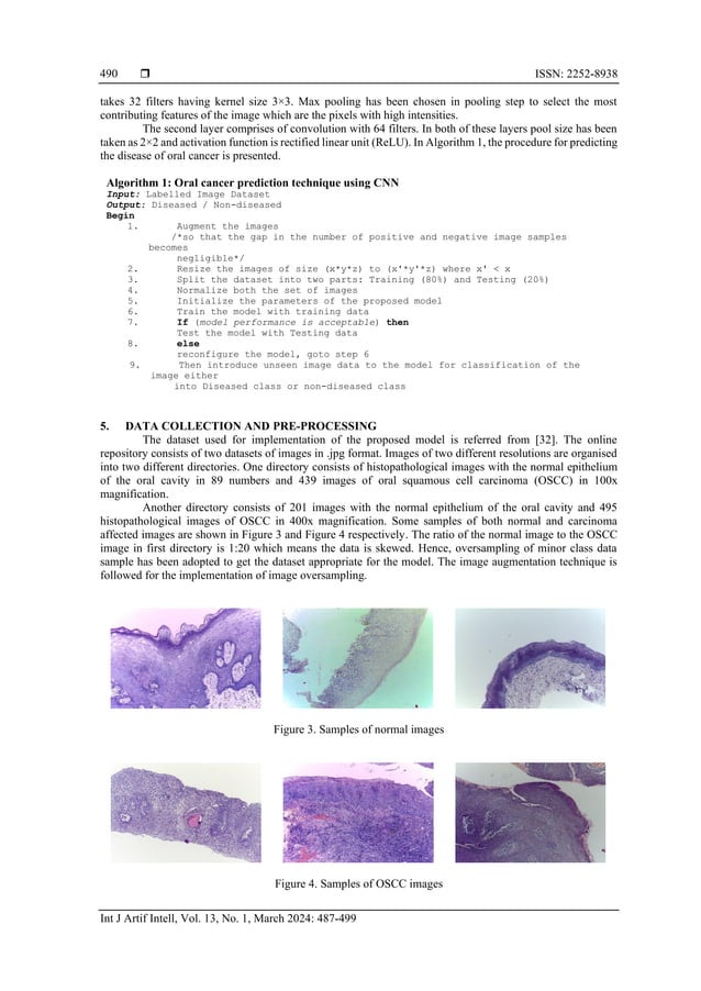 An efficient convolutional neural network-based classifier for an imbalanced oral squamous ...