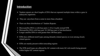 Short Tandem Repeats in plants: Genomic distribution and function ...