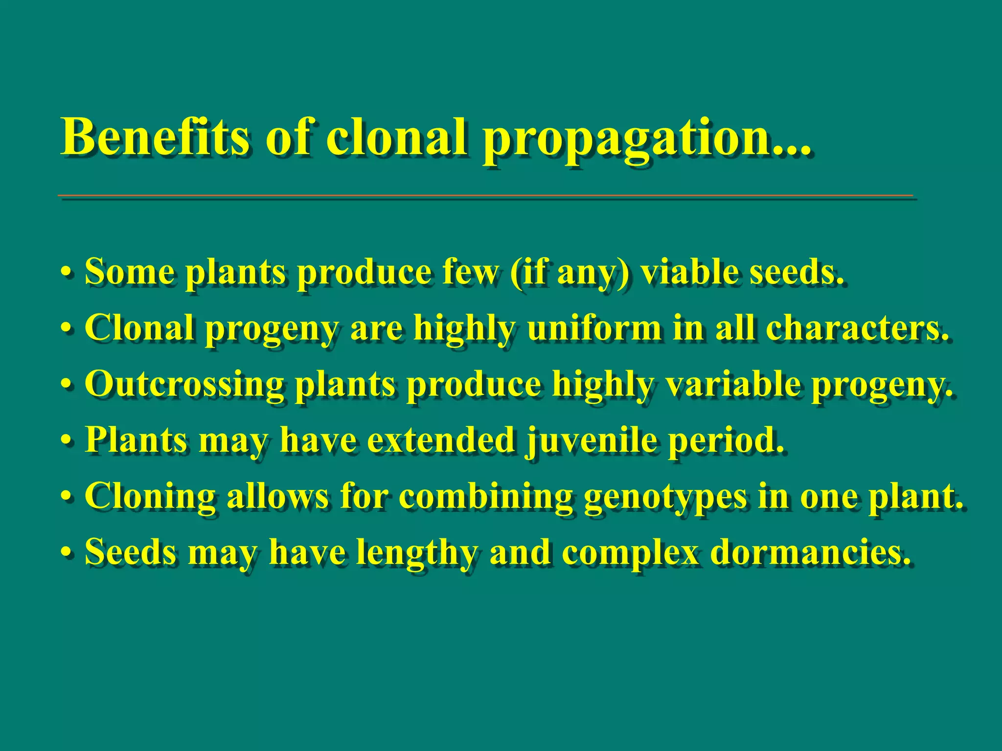 514-Plant-Propagation.ppt