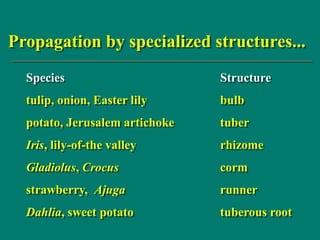 514-Plant-Propagation.ppt