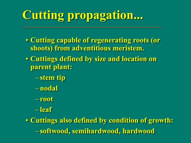 514-Plant-Propagation.ppt