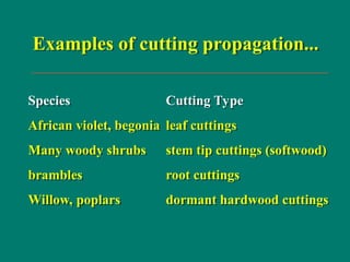 514-Plant-Propagation plant propagation.ppt