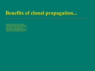 514-Plant-Propagation for tissue culture.ppt