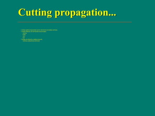 514-Plant-Propagation for tissue culture.ppt