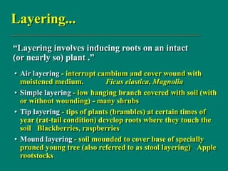 514-Plant-Propagation (1).ppt