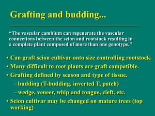 514-Plant-Propagation (1).ppt