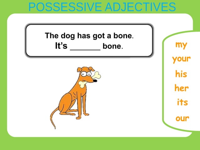 514429255-possessive-adjectives-ppt-1.pptx