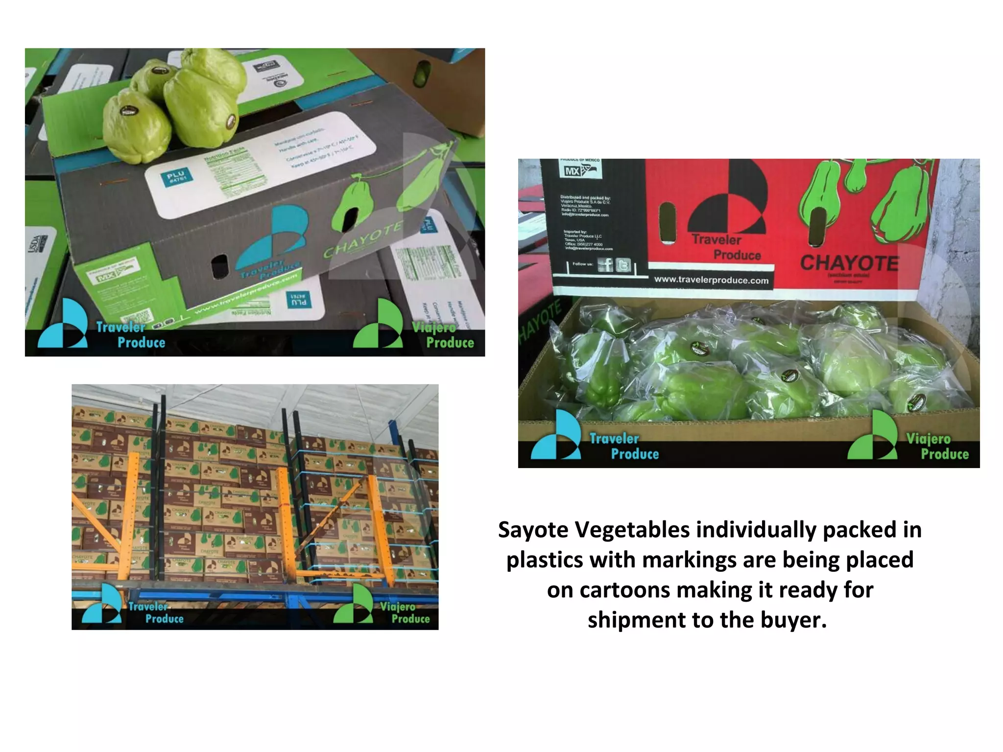 sayote processing | PPT