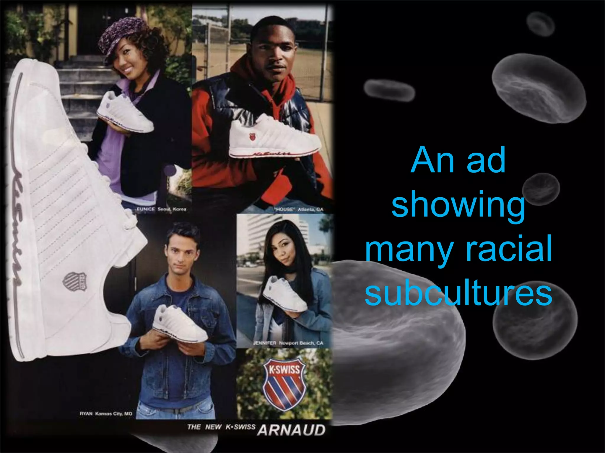 Culture & Sub Cultures | PPT