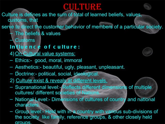 Culture & Sub Cultures | PPT