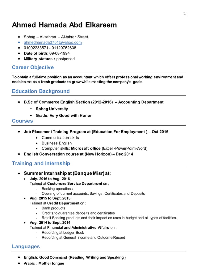 Ahmed_Hamada_CV (2) | DOCX | Business | Business and Finance