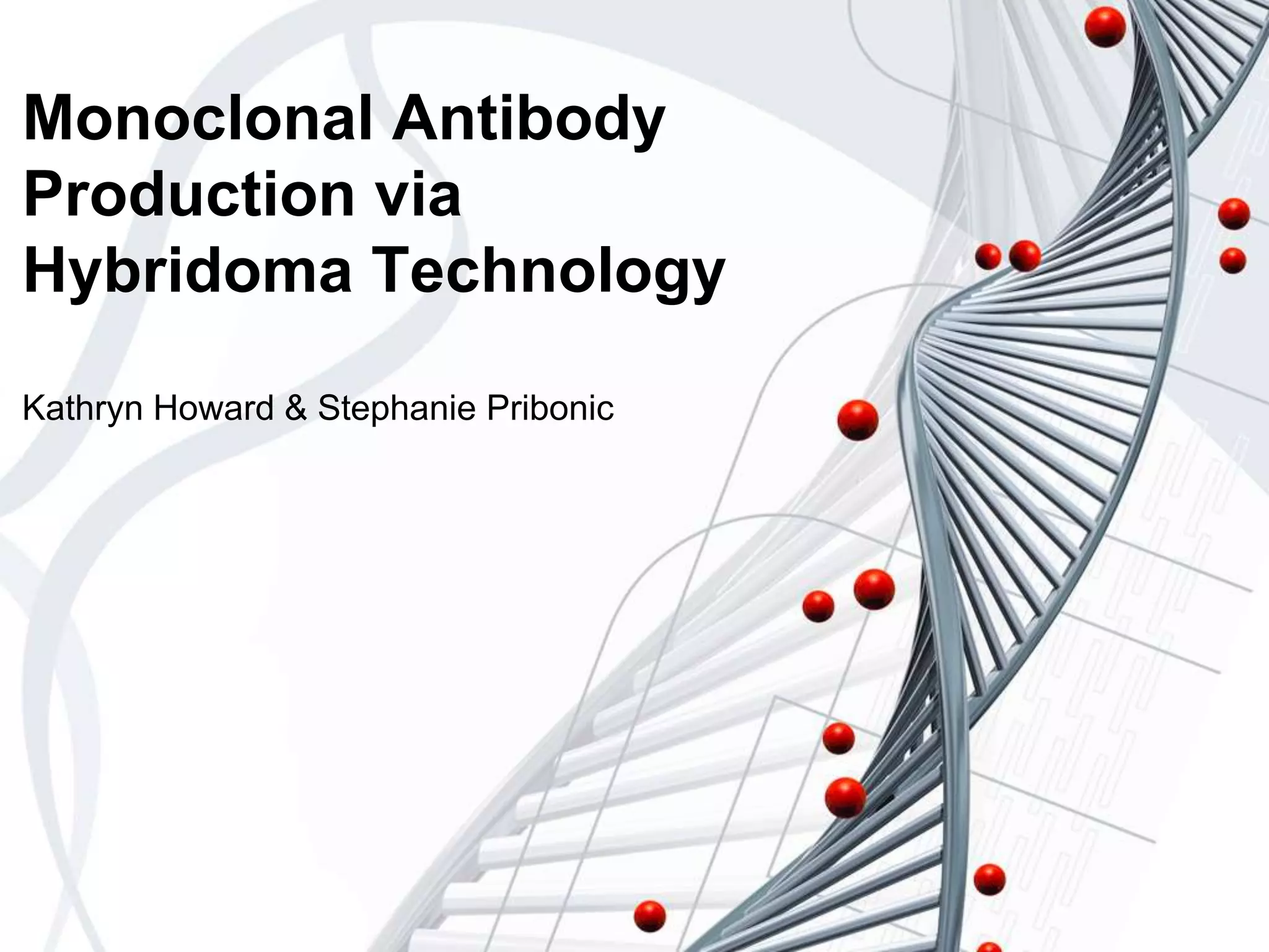 Monoclonal Antibody Production via Hybridoma Technology | PPTX