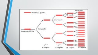 519527177-polymerase-chain-reaction-Autosaved.pptx