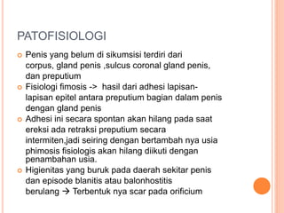 fimosis case report laporan kasus phimosis | PPT