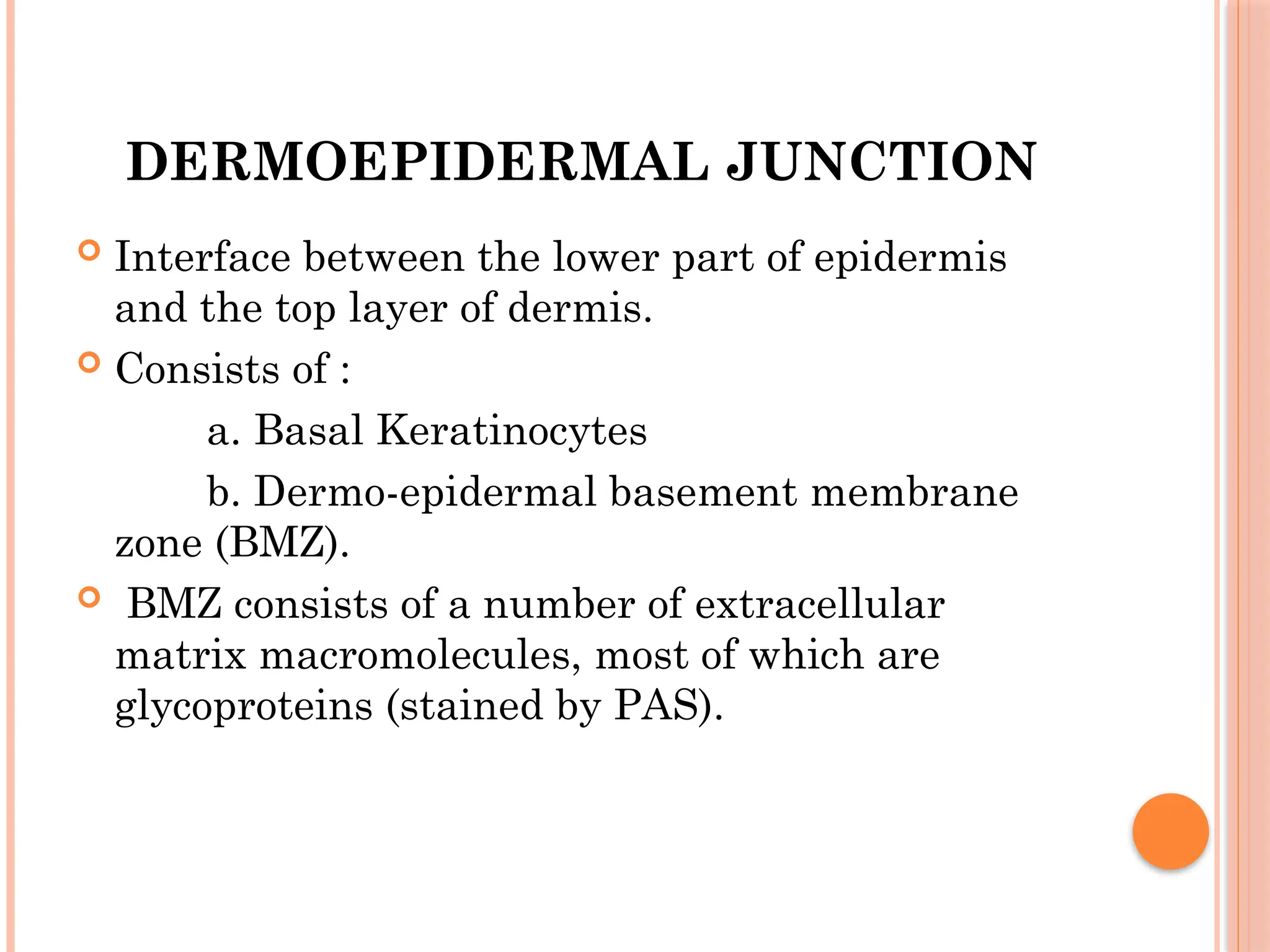 ANATOMY-OF-DERMO-EPIDERMAL-JUNCTION-AND-ITS-APPLIED-ASPECT.pptx