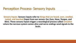 519764763-Perception-Process-1.pptxhjjjhhbjkkj | PPT