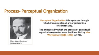 519764763-Perception-Process-1.pptxhjjjhhbjkkj | PPTX