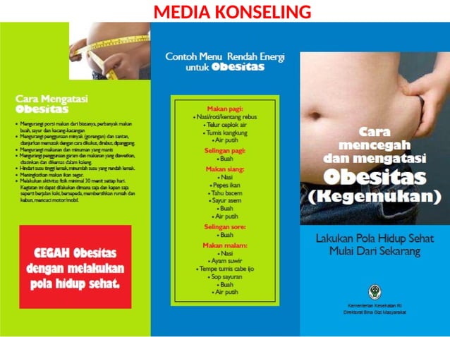 Konseling-Gizi-Dan-Obesitas-Power-Point.ppt