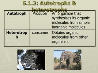 5.1 Communities | PPT